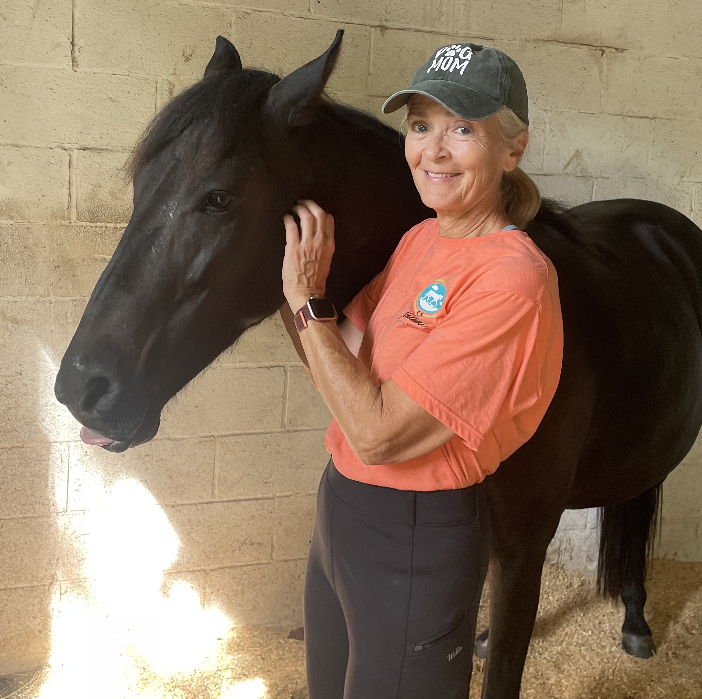 Volunteer at Cloverleaf | Cloverleaf